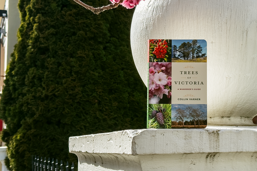LOOK INSIDE: Trees of Victoria | heritage-house-publishing