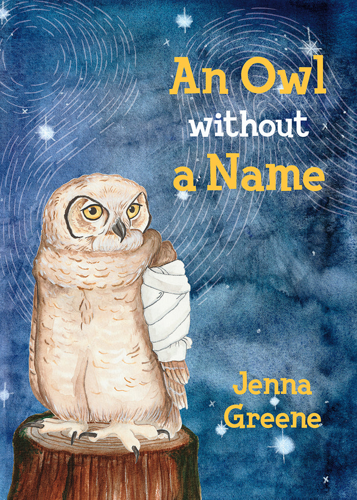 An Owl without a Name | heritage-house-publishing