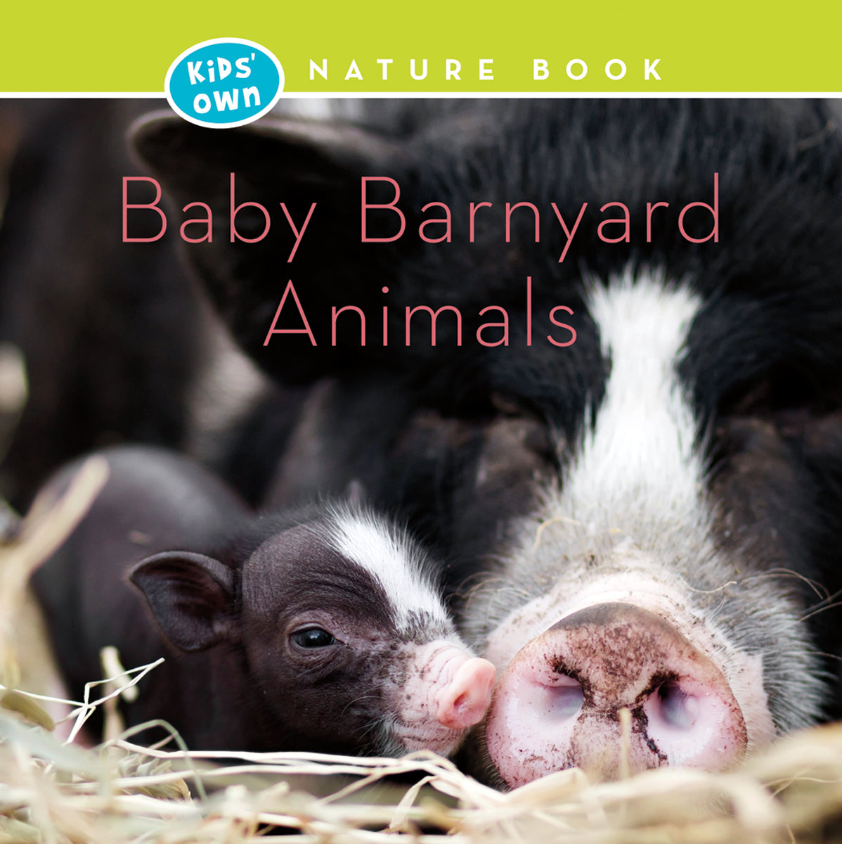 Baby Barnyard Animals | heritage-house-publishing